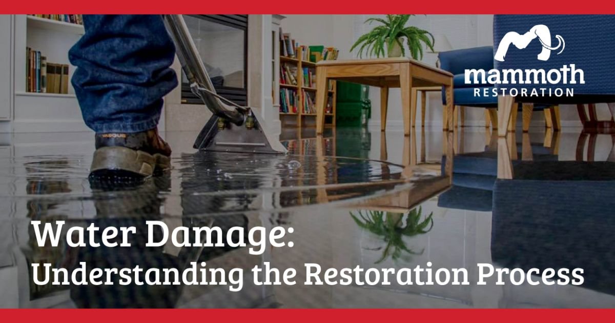 Water Damage: Understanding The Restoration Process | Mammoth Restoration