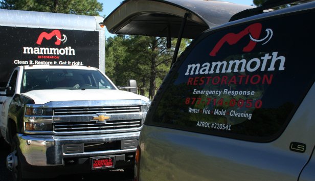 Packouts And Packbacks In Flagstaff, AZ: Mammoth Restoration
